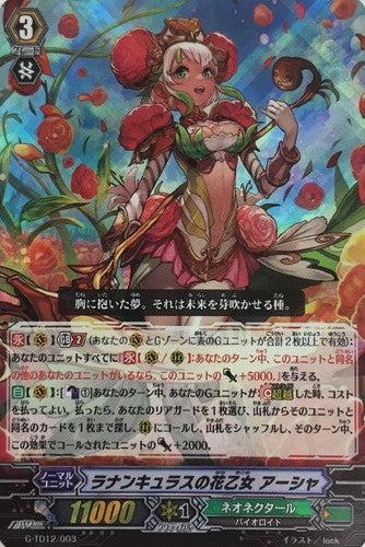 ラナンキュラスの花乙女 アーシャ TD (G-TD12/003)