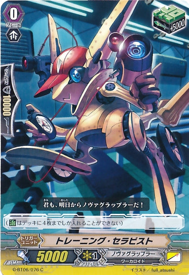 トレーニング・セラピスト C (G-BT06/076)