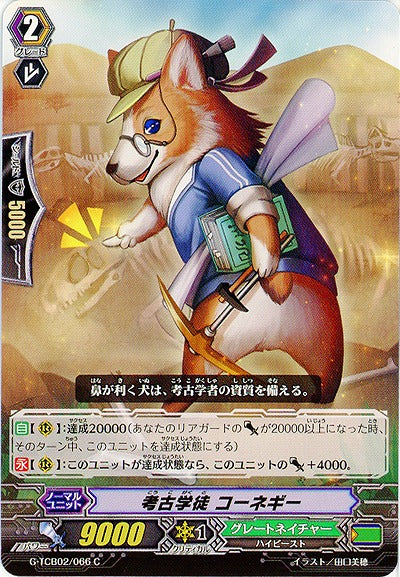 考古学徒 コーネギー C (G-TCB02/066)