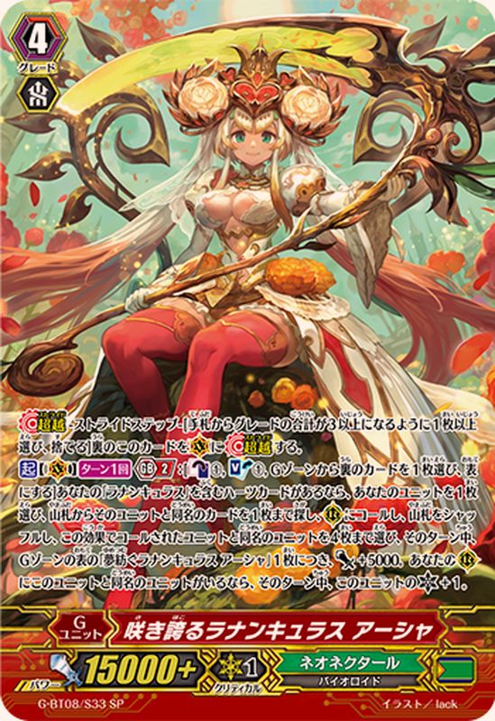 咲き誇るラナンキュラス アーシャ SP (G-BT08/S33)